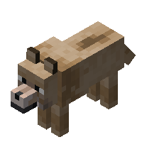 Coyote | Minecraft Mobs Wiki | Fandom