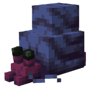 Sea Snail | Minecraft Mobs Wiki | Fandom