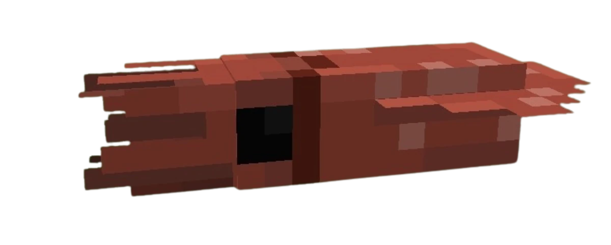 European Squid | Minecraft Mobs Wiki | Fandom