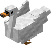 Swan | Minecraft Mobs Wiki | Fandom