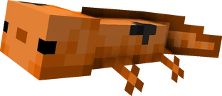 Salamander | Minecraft Mobs Wiki | Fandom