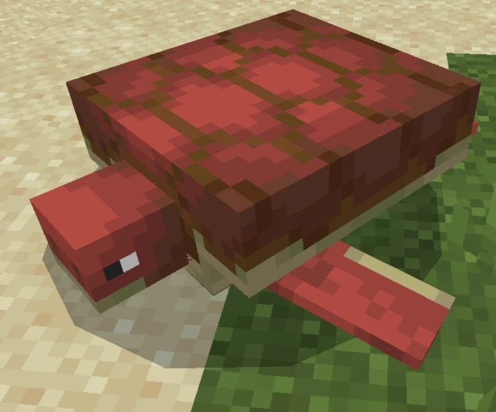Loggerhead Turtle | Minecraft Mobs Wiki | Fandom