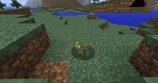 Bullfrog | Minecraft Mobs Wiki | Fandom