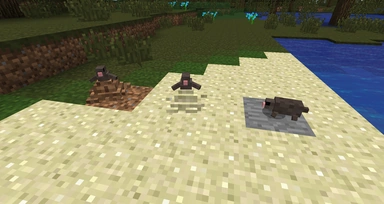 Mole | Minecraft Mobs Wiki | Fandom