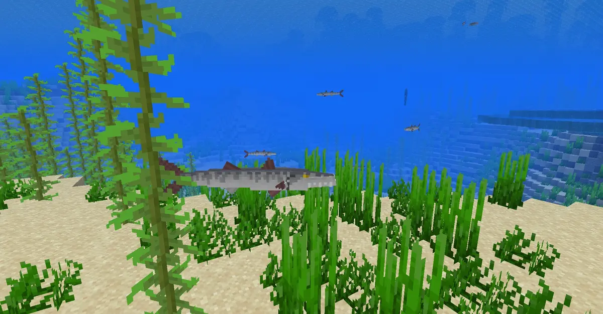 Barracuda | Minecraft Mobs Wiki | Fandom