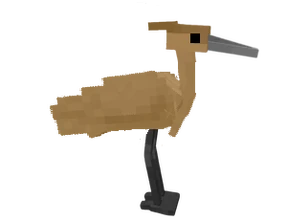 Hamerkop | Minecraft Mobs Wiki | Fandom