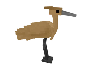 Hamerkop | Minecraft Mobs Wiki | Fandom