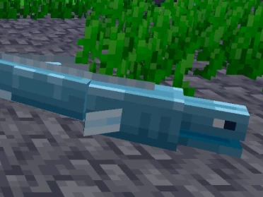 Conger Eel | Minecraft Mobs Wiki | Fandom
