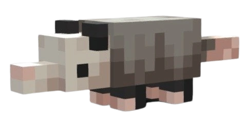 Opossum | Minecraft Mobs Wiki | Fandom