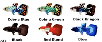 Guppy | Minecraft Mobs Wiki | Fandom