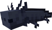 Axolotl | Minecraft Mobs Wiki | Fandom