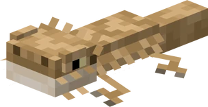 Bearded Dragon Minecraft Mobs Wiki Fandom