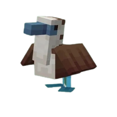 Booby | Minecraft Mobs Wiki | Fandom