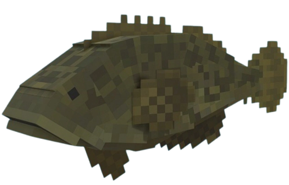 Grouper | Minecraft Mobs Wiki | Fandom