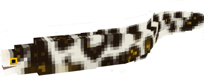Snowflake Moray | Minecraft Mobs Wiki | Fandom
