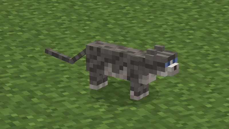 Wildcat | Minecraft Mobs Wiki | Fandom