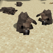 Seal | Minecraft Mobs Wiki | Fandom