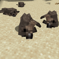 Seal | Minecraft Mobs Wiki | Fandom