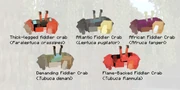 Fiddler Crab | Minecraft Mobs Wiki | Fandom