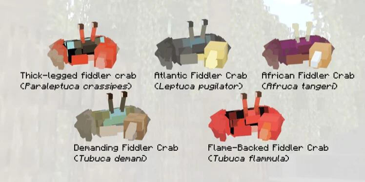 Fiddler Crab | Minecraft Mobs Wiki | Fandom