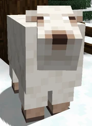 Geep | Minecraft Mobs Wiki | Fandom