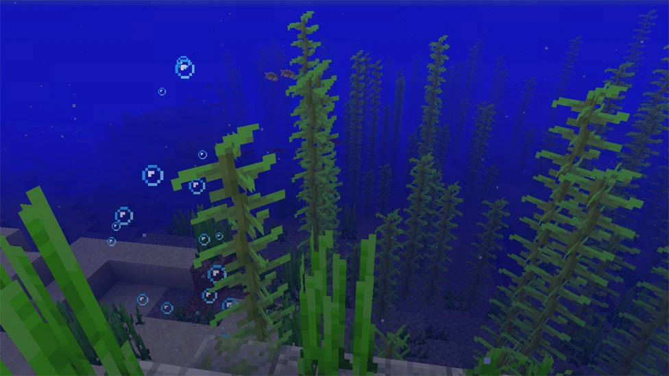 Kelp | Minecraft Mobs Wiki | Fandom