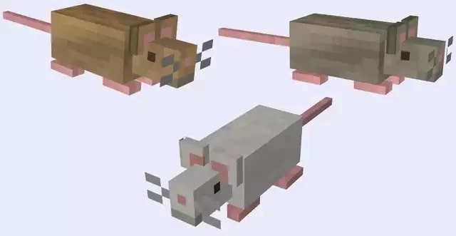 Norway Rat | Minecraft Mobs Wiki | Fandom