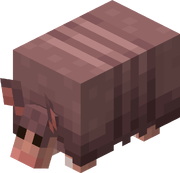 Armadillo (Vanilla) | Minecraft Mobs Wiki | Fandom