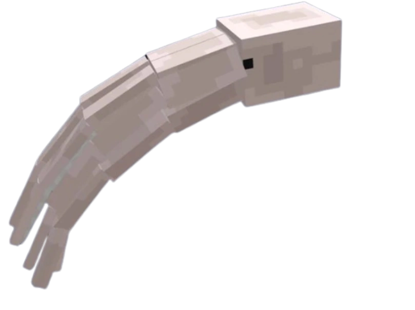 Seven Arm Octopus | Minecraft Mobs Wiki | Fandom