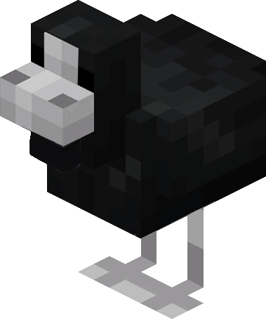 Coot | Minecraft Mobs Wiki | Fandom