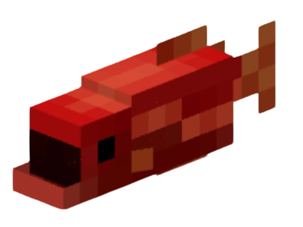 Whale Fish | Minecraft Mobs Wiki | Fandom
