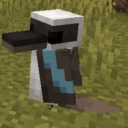 Kookaburra | Minecraft Mobs Wiki | Fandom