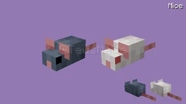 Mouse | Minecraft Mobs Wiki | Fandom