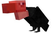 Vulture | Minecraft Mobs Wiki | Fandom