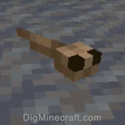 Tadpole | Minecraft Mobs Wiki | Fandom