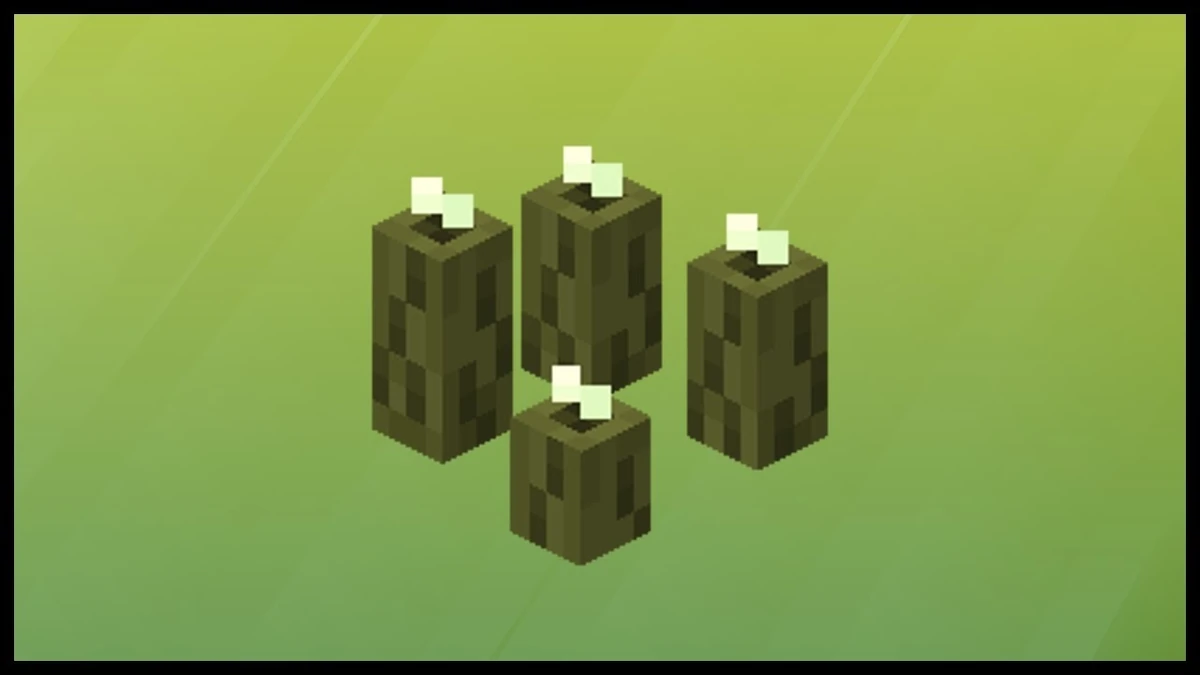 Sea Cucumber | Minecraft Mobs Wiki | Fandom
