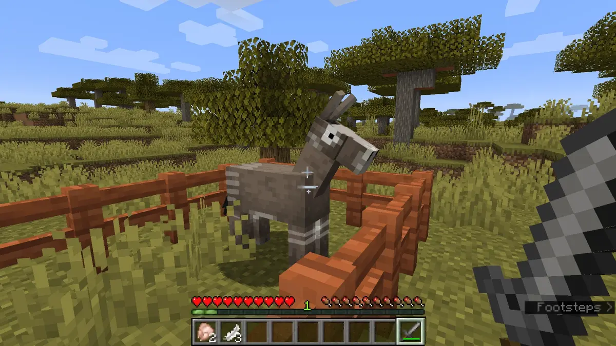 Ass | Minecraft Mobs Wiki | Fandom