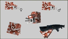 Nautilus | Minecraft Mobs Wiki | Fandom