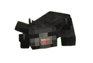 Aye-Aye | Minecraft Mobs Wiki | Fandom