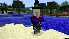 Witch | Minecraft Mobs Wiki | Fandom