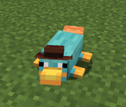 Platypus | Minecraft Mobs Wiki | Fandom