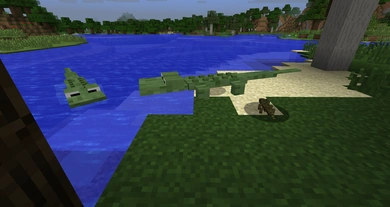 Crocodile | Minecraft Mobs Wiki | Fandom