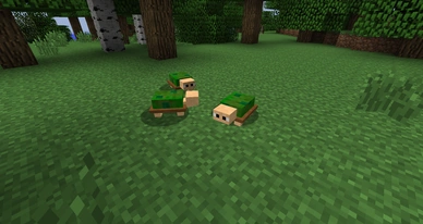 Turtle (Modded) | Minecraft Mobs Wiki | Fandom