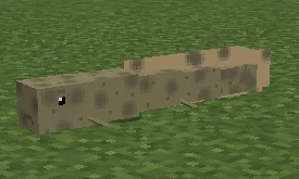 African Lungfish | Minecraft Mobs Wiki | Fandom