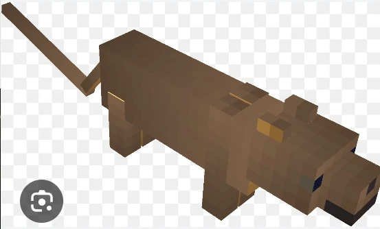Fossa | Minecraft Mobs Wiki | Fandom