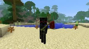 Wanderer | Minecraft Mobs Wiki | Fandom