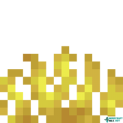 Horn Coral | Minecraft Mobs Wiki | Fandom