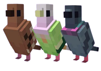 Pigeon | Minecraft Mobs Wiki | Fandom