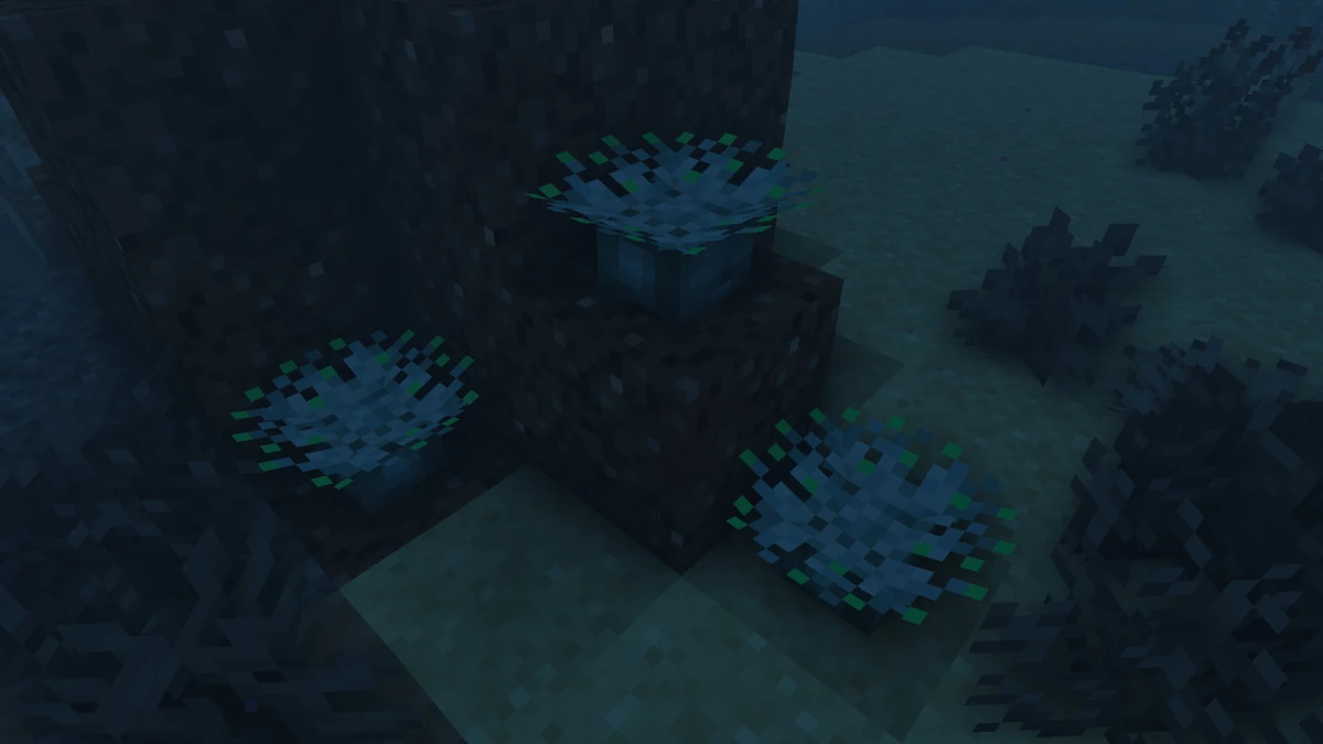 Anemone | Minecraft Mobs Wiki | Fandom