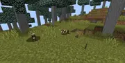 Quoll | Minecraft Mobs Wiki | Fandom